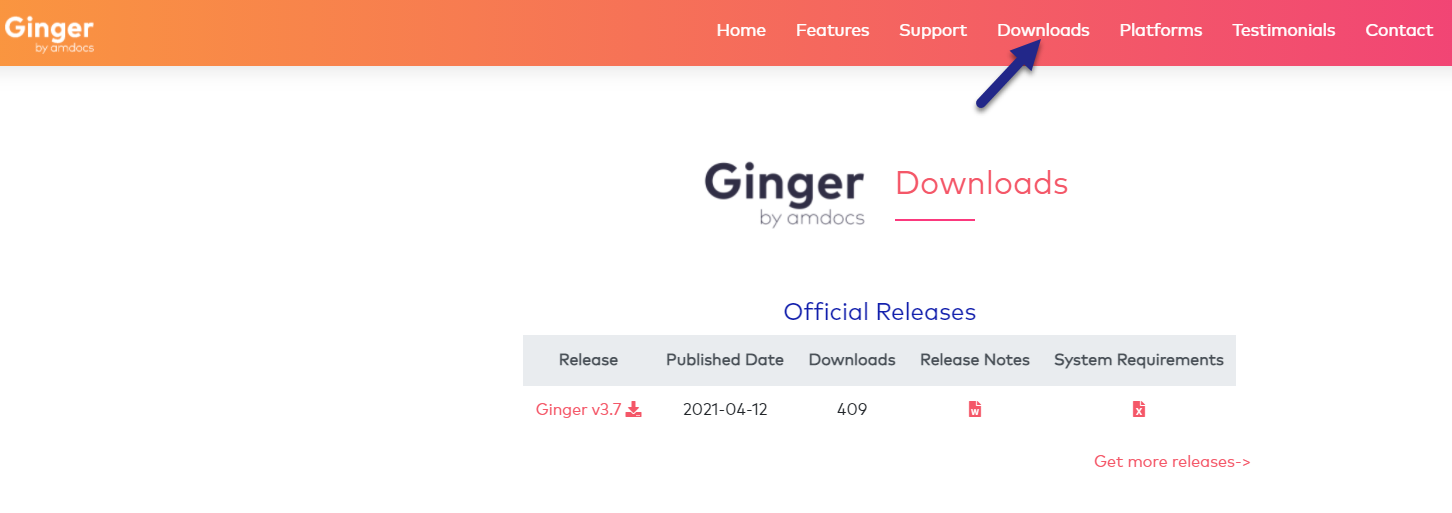 Ginger Support Overview