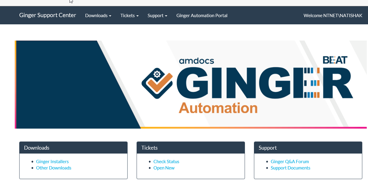 Ginger Support Overview