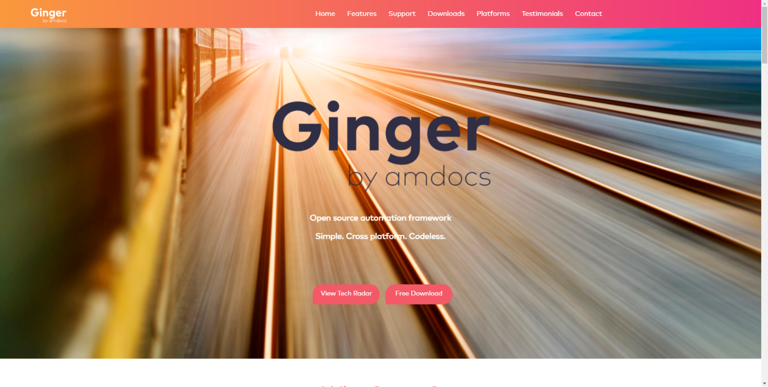 Ginger Support Overview