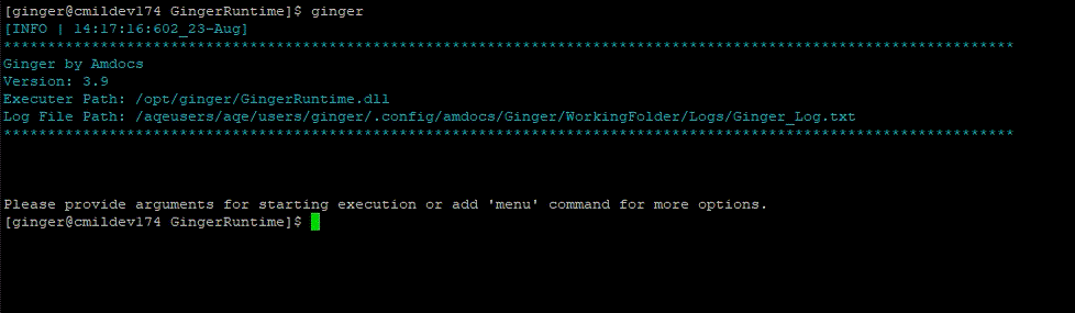 What is Ginger Runtime